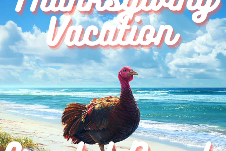 Things To Do In Crystal Beach TX | What To Do On Bolivar